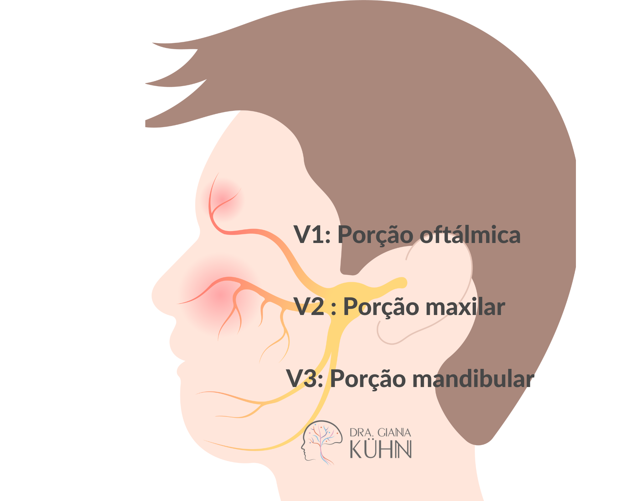 Neuralgia do trigêmeo e dor crônica | Dra. Giana Kühn